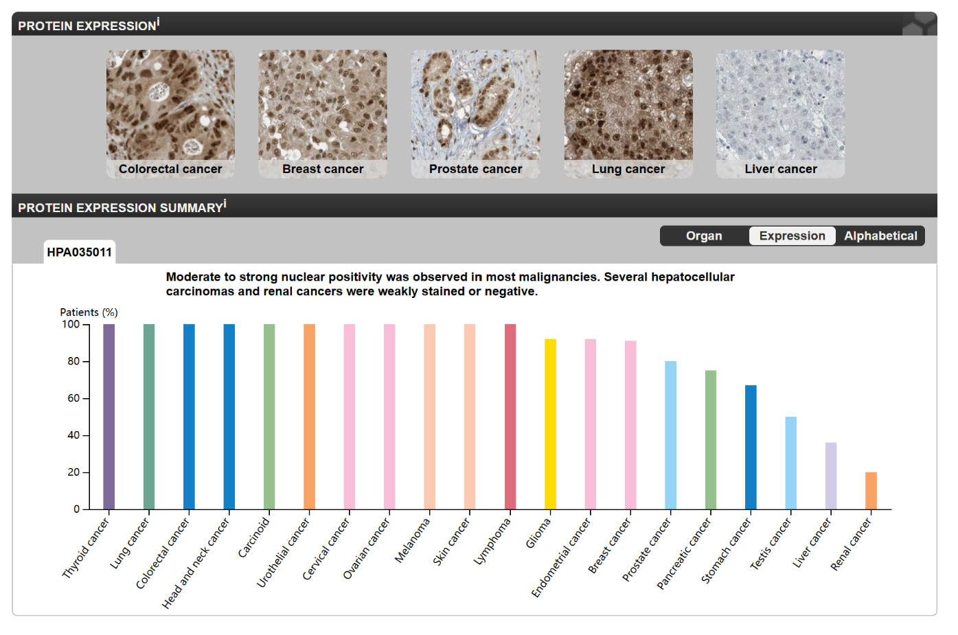 实验室概况-河南省核蛋白基因调控国际联合实验室